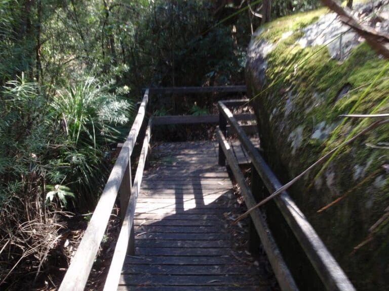 Wondabyne to Pindar Cave Hike (13.6km) - Brisbane Water National Park, NSW