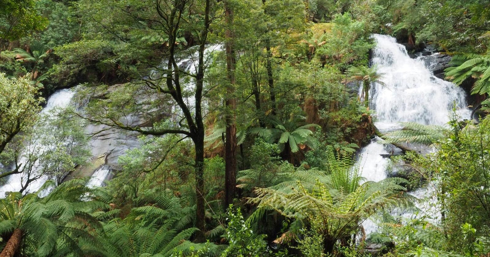 Camperdown to Timboon (40km), Western Victoria, Victoria