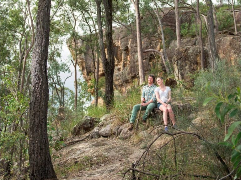 Mount Beerburrum Summit Walk (3.5km) - Glass House Mountains National ...