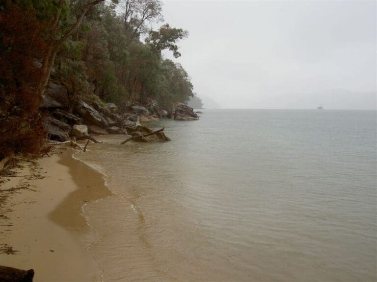 Mackerel Beach Hike (8.2km) - Ku-ring-gai Chase National Park, NSW