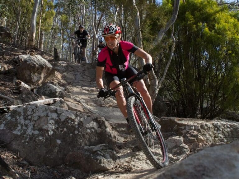 Cascade Walking Track (4.5km) - Wellington Park, TAS