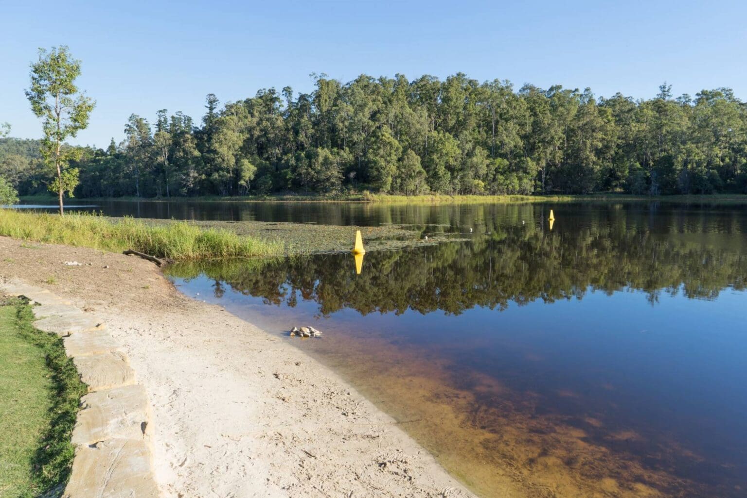 Best Hikes in Queensland | Trail Hiking Australia