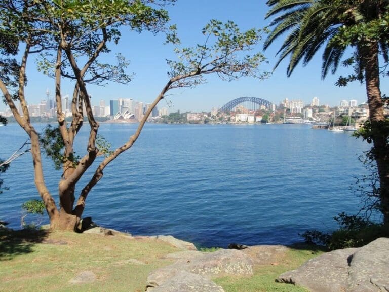 Cremorne Point to Mosman Wharf Walk (2km) - Cremorne Point, NSW