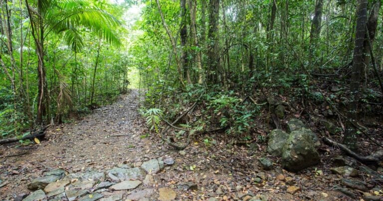 Best Hikes in Queensland | Trail Hiking Australia