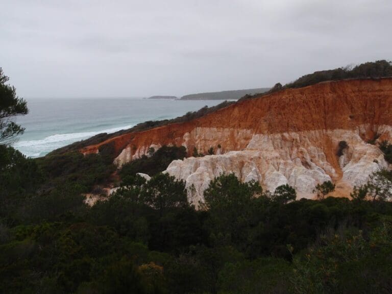 Pinnacles Loop Walking Track (1.1km) - Beowa (Ben Boyd) National Park, NSW
