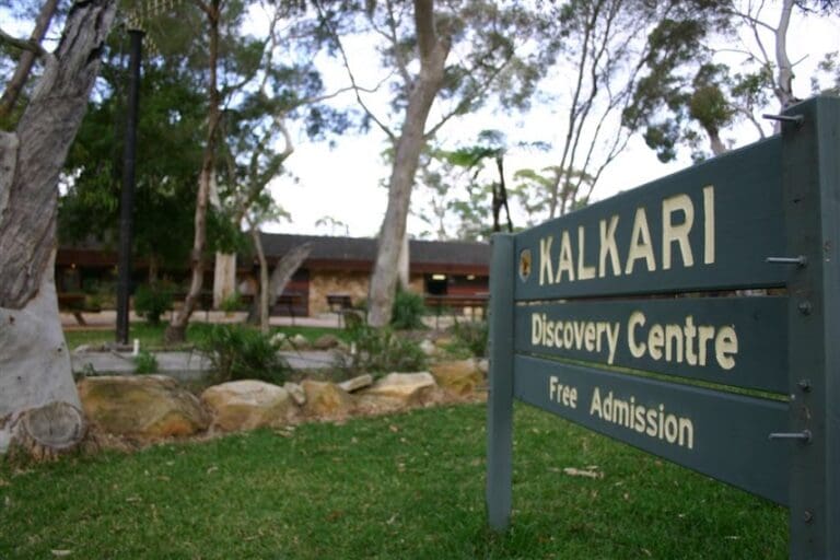 Mount Kuring-Gai to Berowra - Crosslands Hike (12.5km) - Crosslands ...