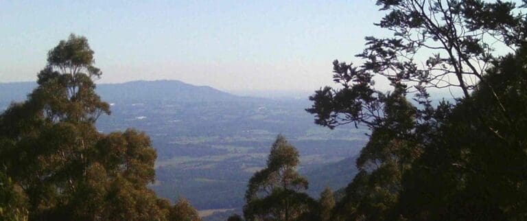 Ada Tree Rainforest Walk (3km), Yarra State Forest, Victoria