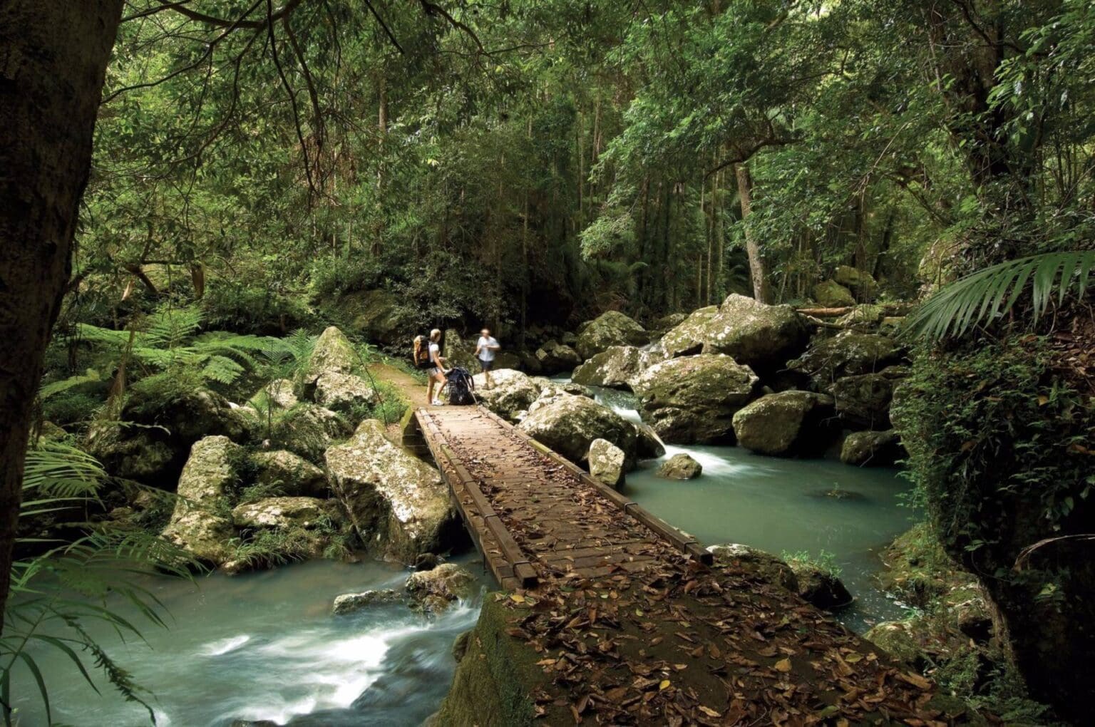 Best Hikes in Queensland | Trail Hiking Australia