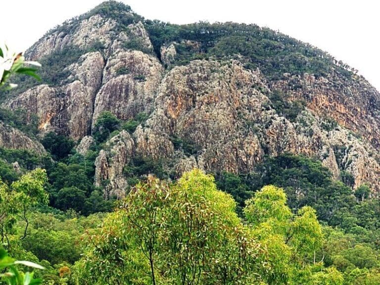 Wollumbin Hike (Mount Warning) Summit Track (8.8km) - Wollumbin ...