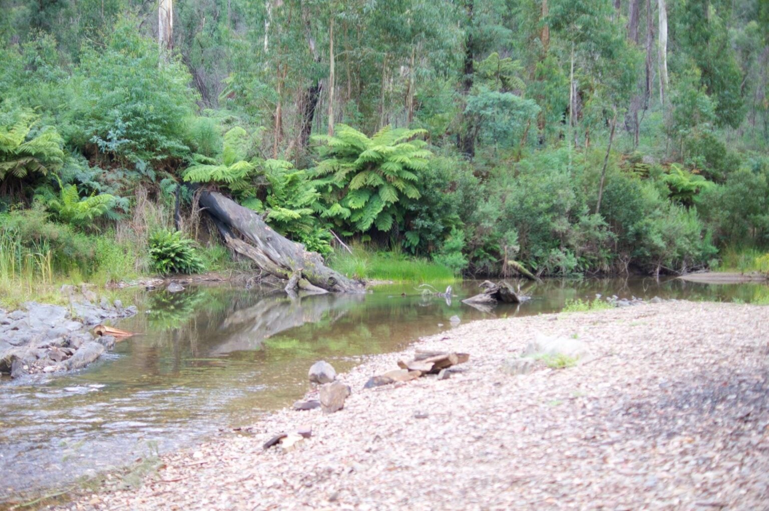 Mount St Gwinear (8km), Baw Baw National Park, Victoria