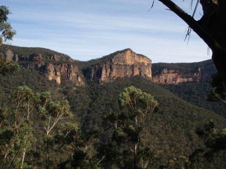Pierces Pass to Blue Gum Forest Hike (14km) - Blue Mountains National Park, NSW