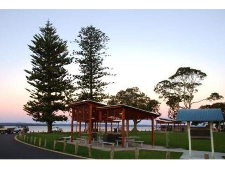 Wynnum North Mangrove Circuit Walk (1.5km) - Bayside Parklands, QLD