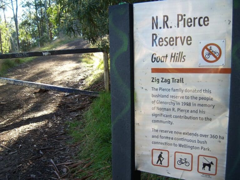 Mount Direction Track (7.2km) - Mount Direction Conservation Area, TAS