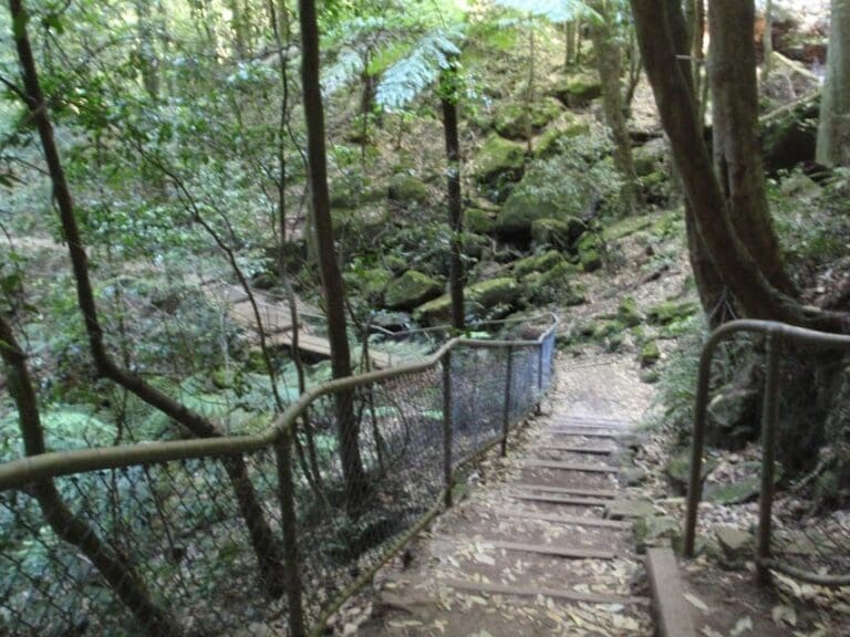 Scenic World to Three Sisters Loop - Furber Steps Walk (5.8km) - Blue ...
