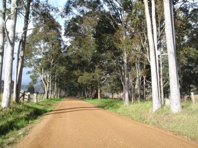 Basin Campsite to Watagan Valley Hike (13km) - Olney State Forest ...