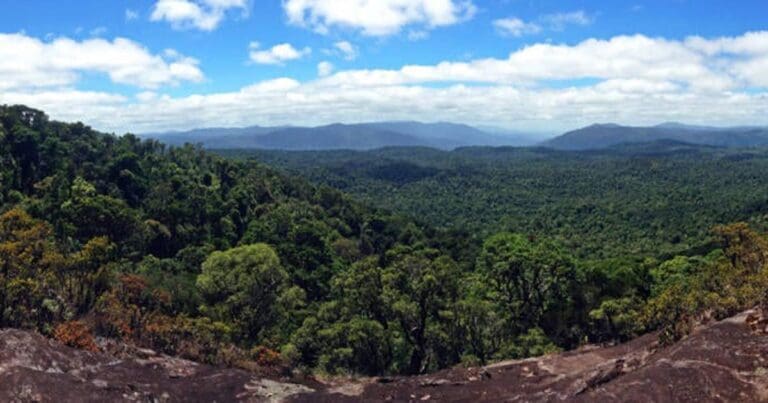 Best Hikes in Queensland | Trail Hiking Australia