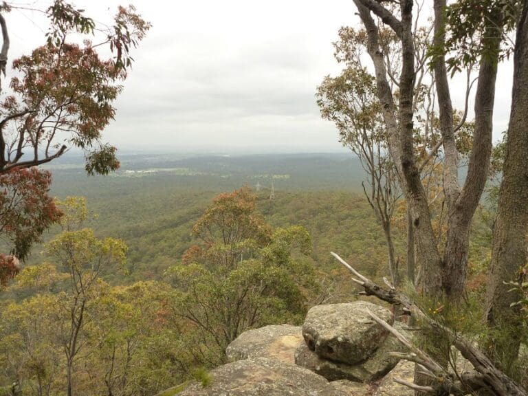 Mount Sugarloaf Summit Walk (500m) - West Wallsend, NSW