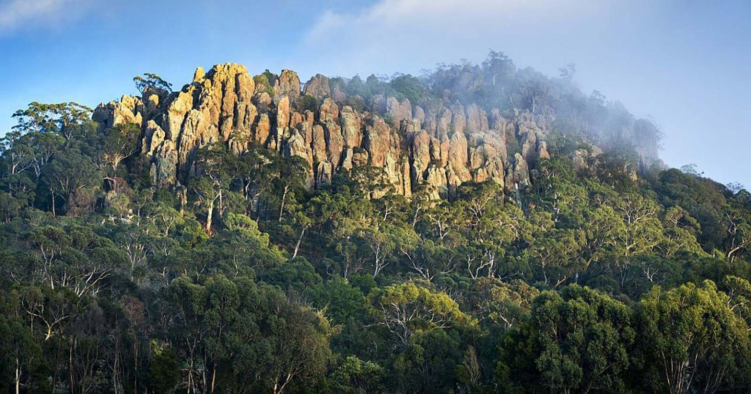 Lerderderg Gorge Walk to Grahams Dam (3.5km) - Lerderderg State Park, VIC