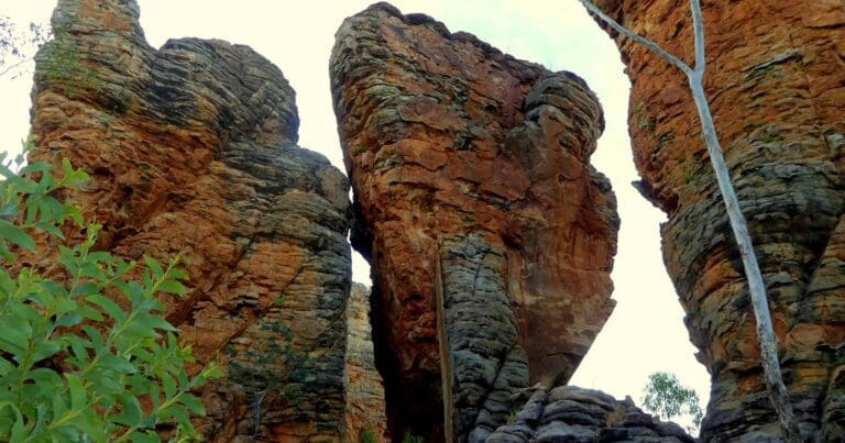 Riversleigh Fossil Trail (1km) - Boodjamulla (Lawn Hill) National Park, QLD