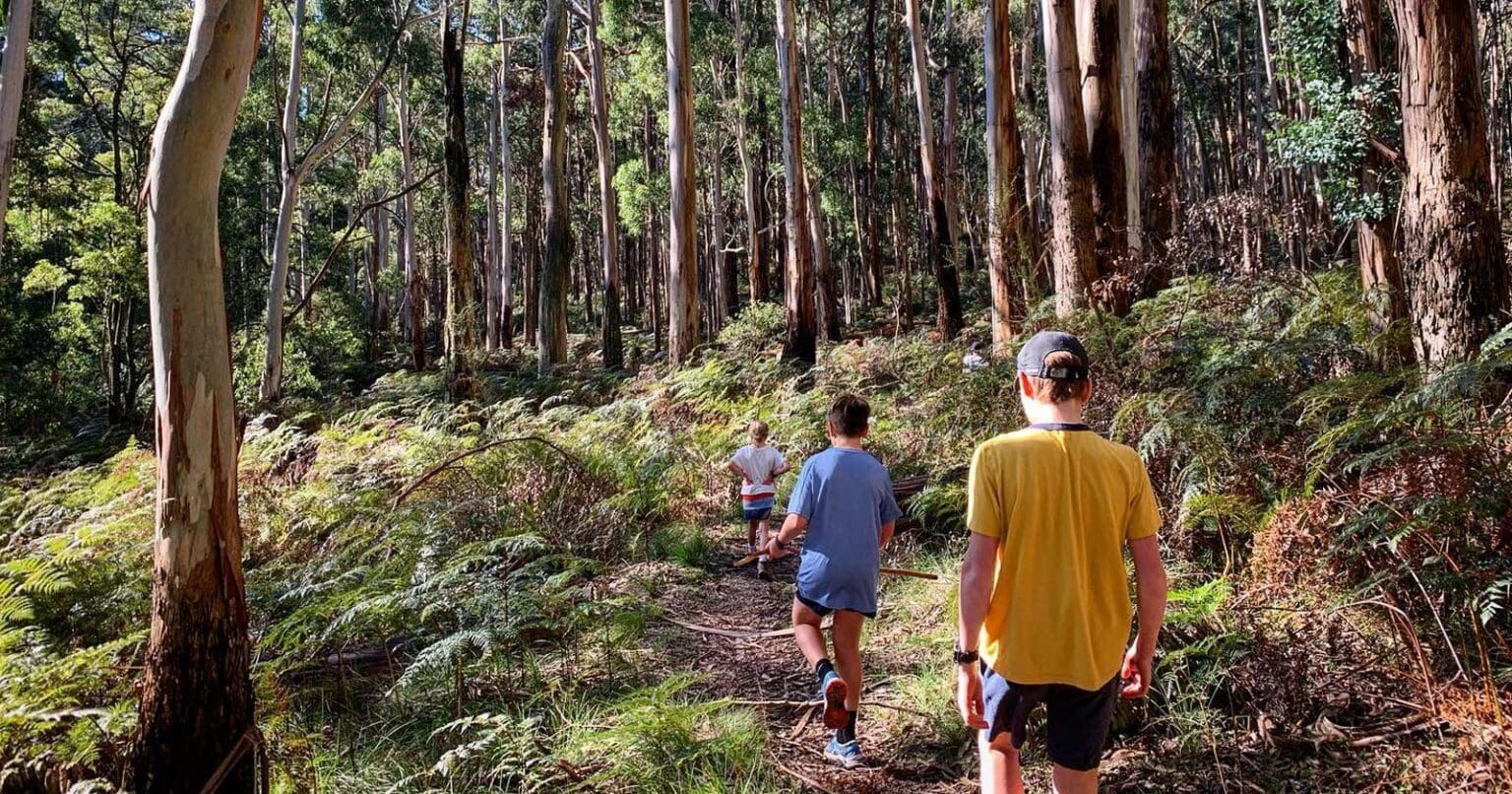 Best Hiking Trails in Victoria | Trail Hiking Australia