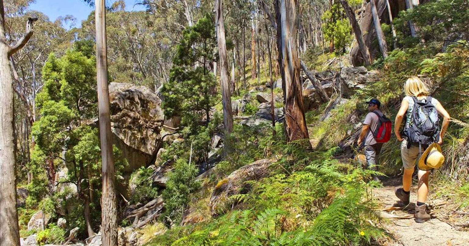 Hikes in Victoria – Trail Hiking Australia