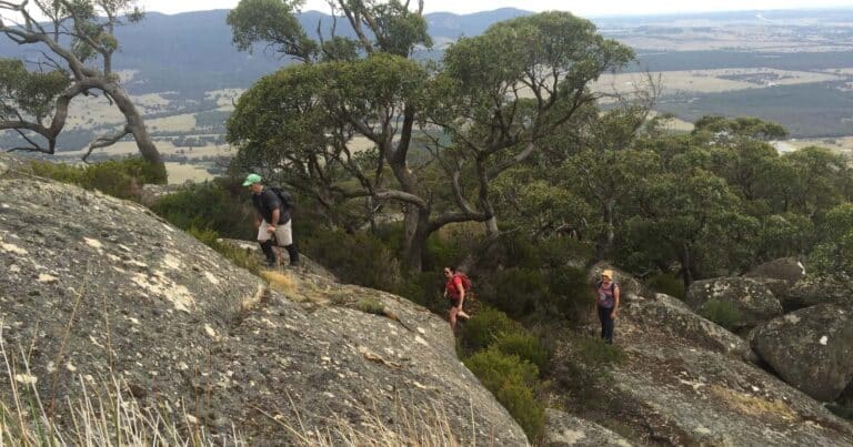 Beeripmo Walk (21km) - Mount Cole State Forest & Mount Buangor State ...