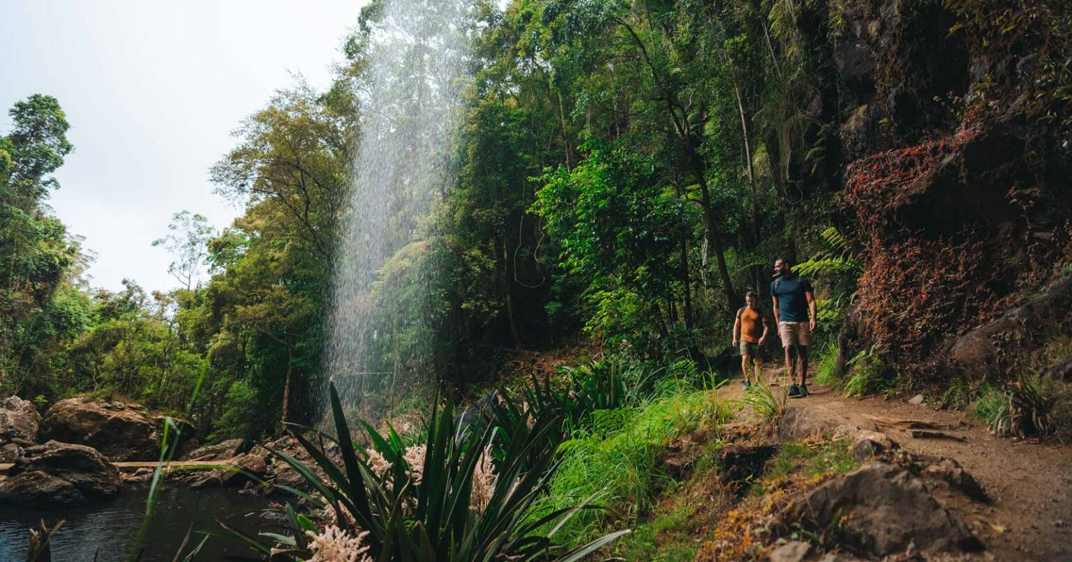Best Hikes in Queensland | Trail Hiking Australia
