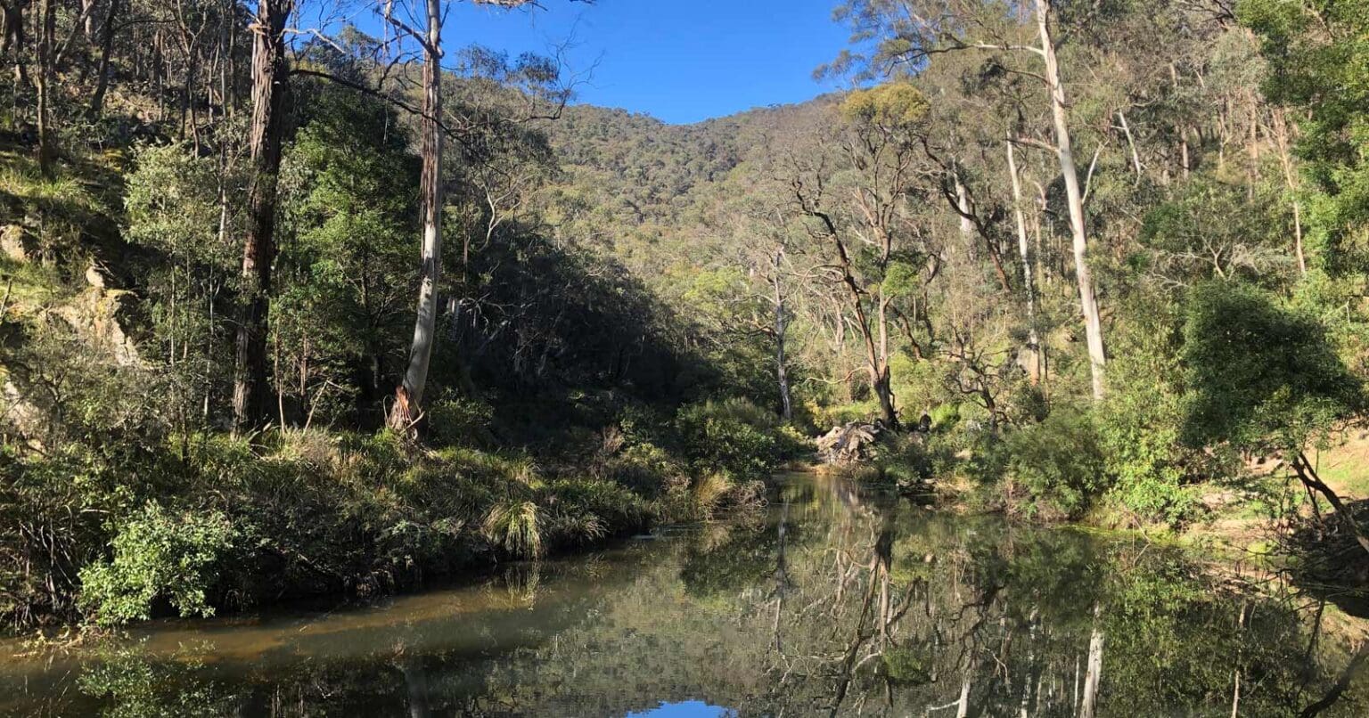 Best Hiking Trails in Victoria | Trail Hiking Australia