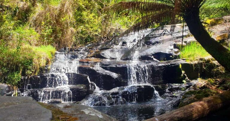 Lorne Waterfalls: Circuit Hike (28.2km) - Great Otway National Park, VIC