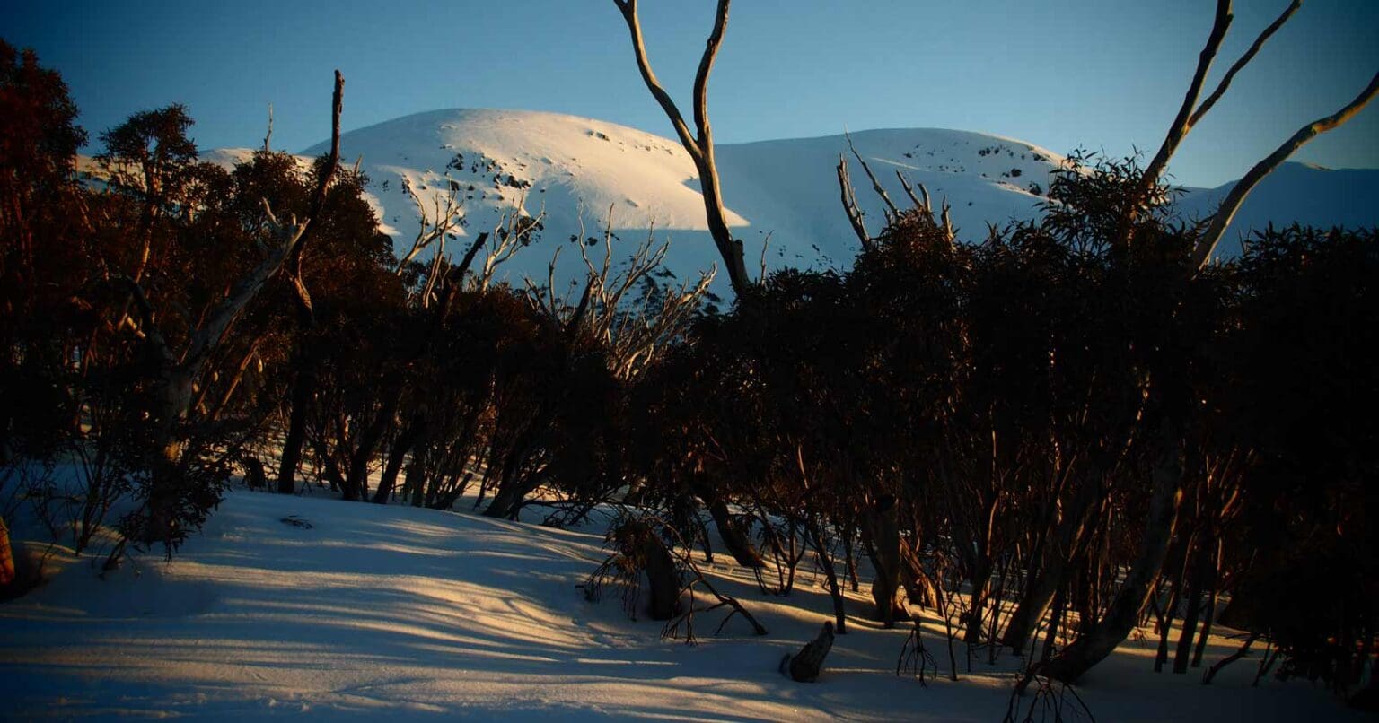 Mount Bogong - Eskdale Spur Hike (23km) - Alpine National Park, VIC
