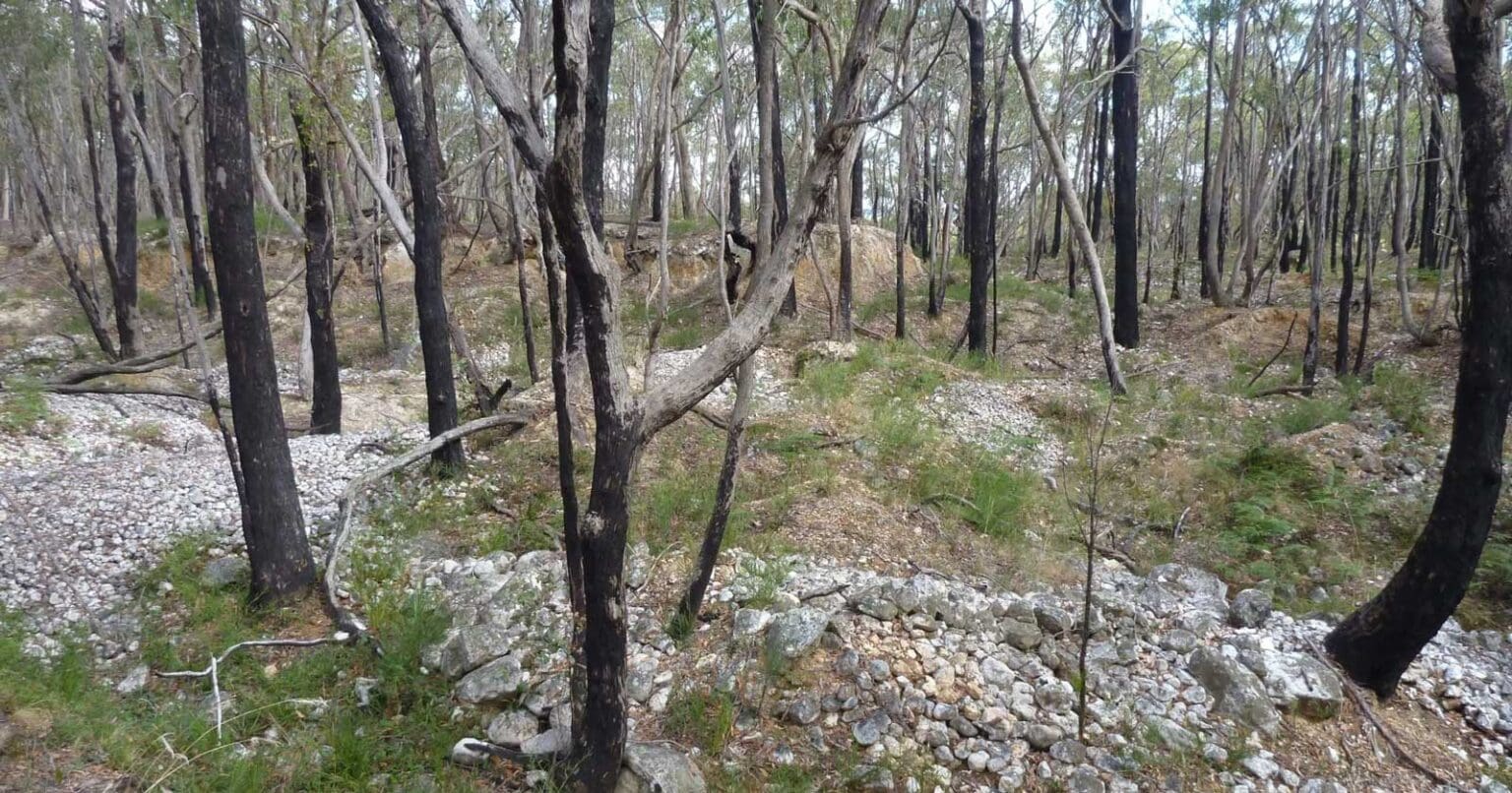 Mount Buninyong South Walk (3.5km) - Mount Buninyong Scenic Reserve, VIC