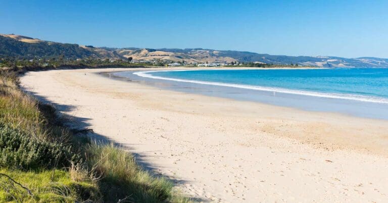 Elliot Ridge to Blanket Bay Hike (12km) - Great Otway National Park, VIC