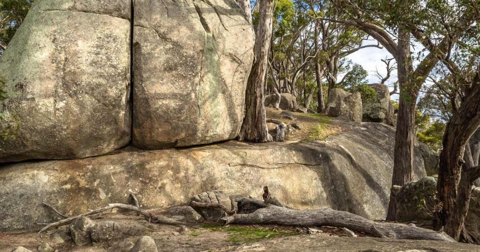 Best Hiking Trails in Mount Alexander Regional Park - Trail Hiking ...