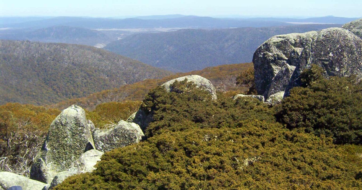 Best Hiking Trails in the ACT | Explore Canberra