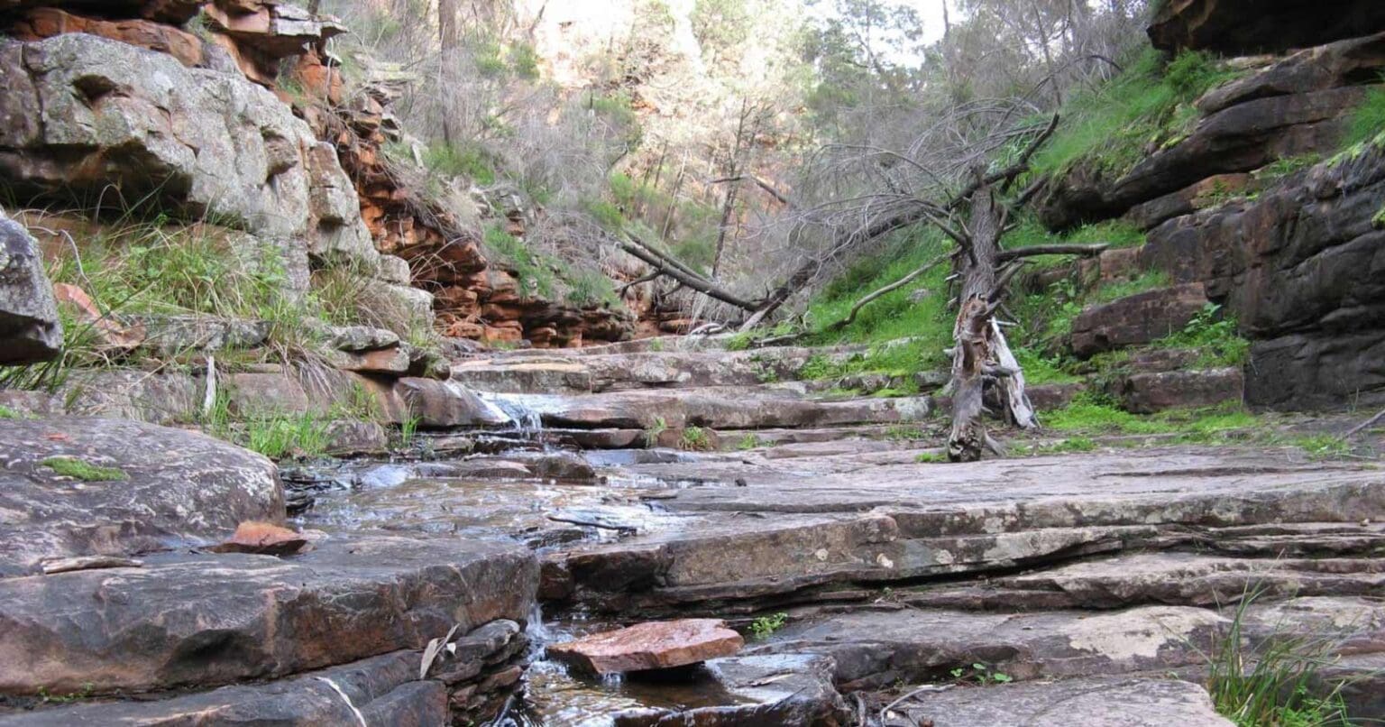 Alligator Gorge Circuit Walk (3km) - Mount Remarkable National Park, SA