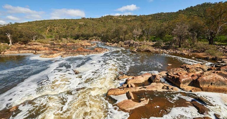 Eagle View Walk (15km) - John Forrest National Park, WA