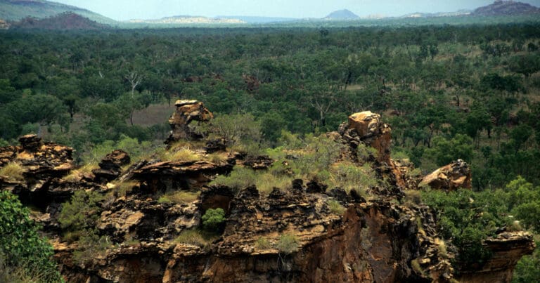 Jarnem Circuit Walk (7.5km) - Keep River National Park, NT