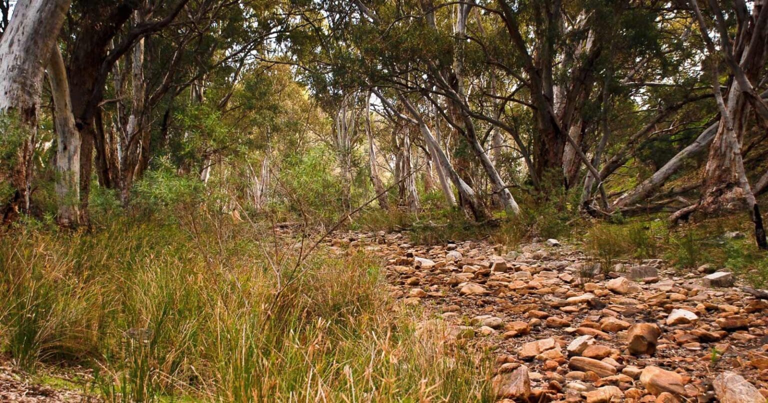 Alligator Gorge Ring Route Circuit Hike (8.8km) - Mount Remarkable ...