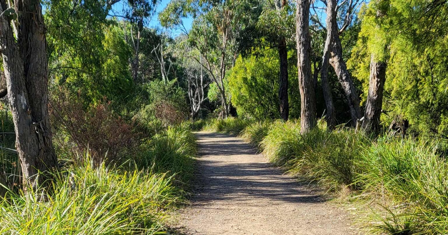 Best Hiking Trails in Churchill National Park - Trail Hiking Australia