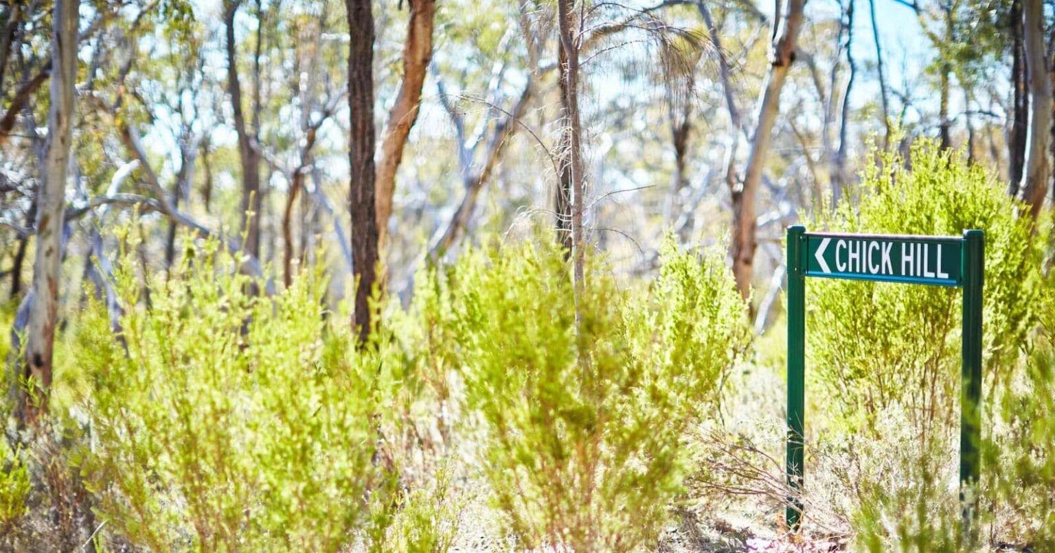 Best Hiking Trails in Victoria | Trail Hiking Australia