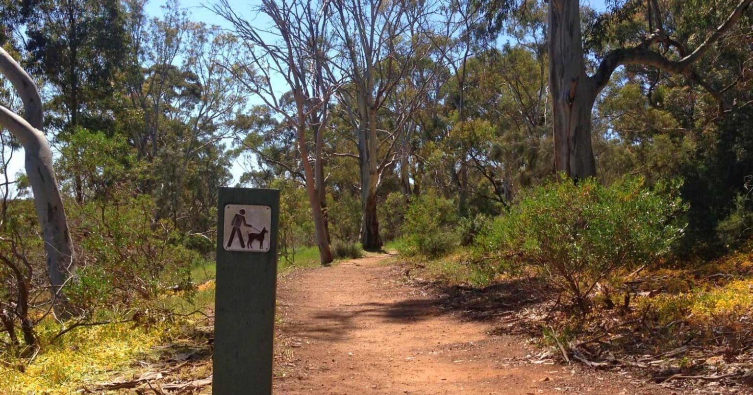 Morialta Falls Valley Walk (1.7km) - Morialta Conservation Park, SA