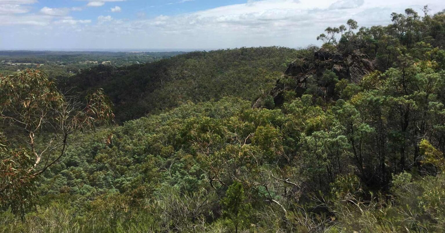 Mount Crawford Circuit Hike (13km) - Mount Crawford Forest Reserve, SA