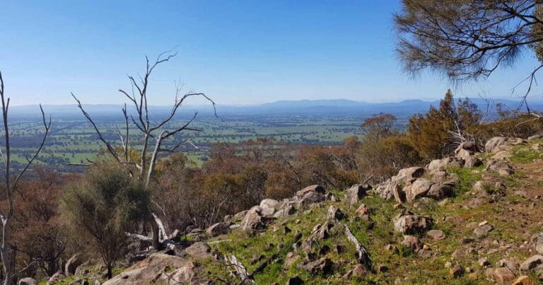 Salisbury Falls Friends Track (14km) - Warby-Ovens National Park, VIC