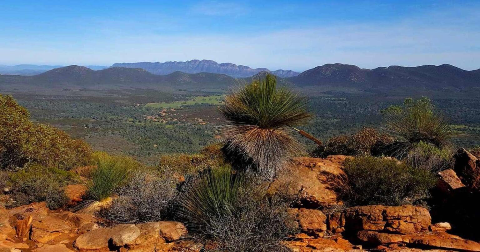 Ikara-Flinders Ranges National Park: SA’s Rugged Outback