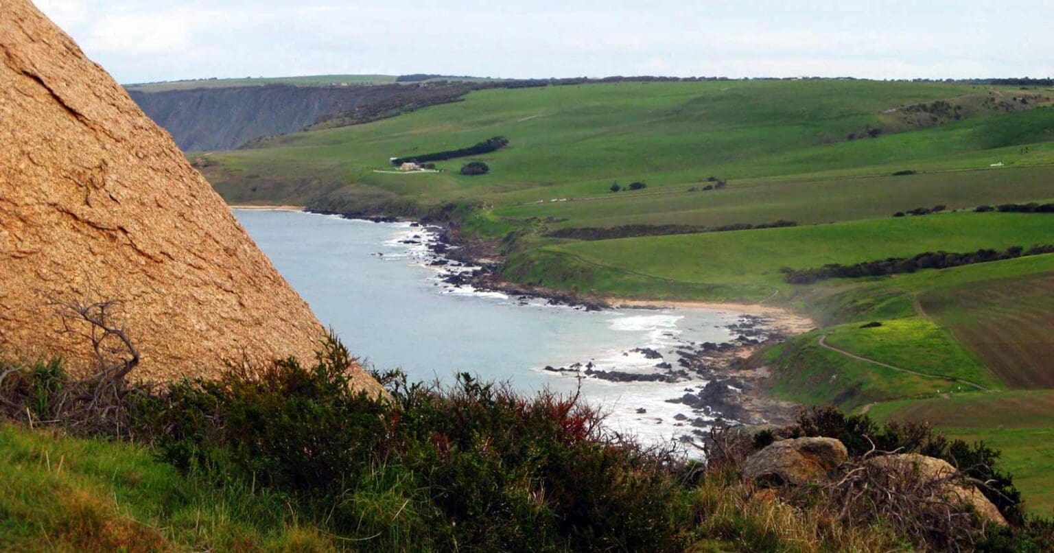 Coastal Cliffs Walking Circuit (8.6km) - Newland Head Conservation Park, SA