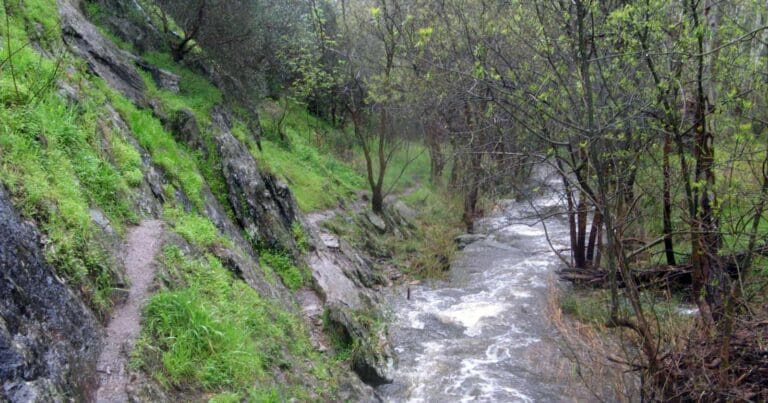 Sturt Gorge River Trail Circuit Hike (7.1km) - Sturt Gorge Recreation ...