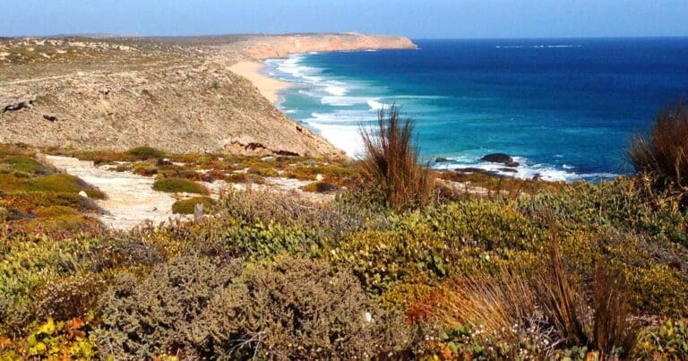 Royston Head Walk (5km) - Dhilba Guuranda-Innes National Park, SA