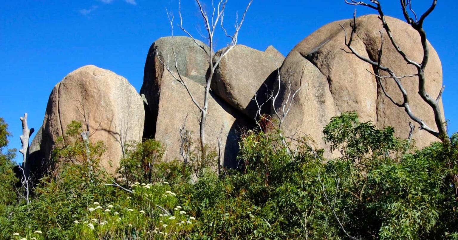 Murrumbidgee Discovery Track (27km) - Bullen Range Nature Reserve, ACT