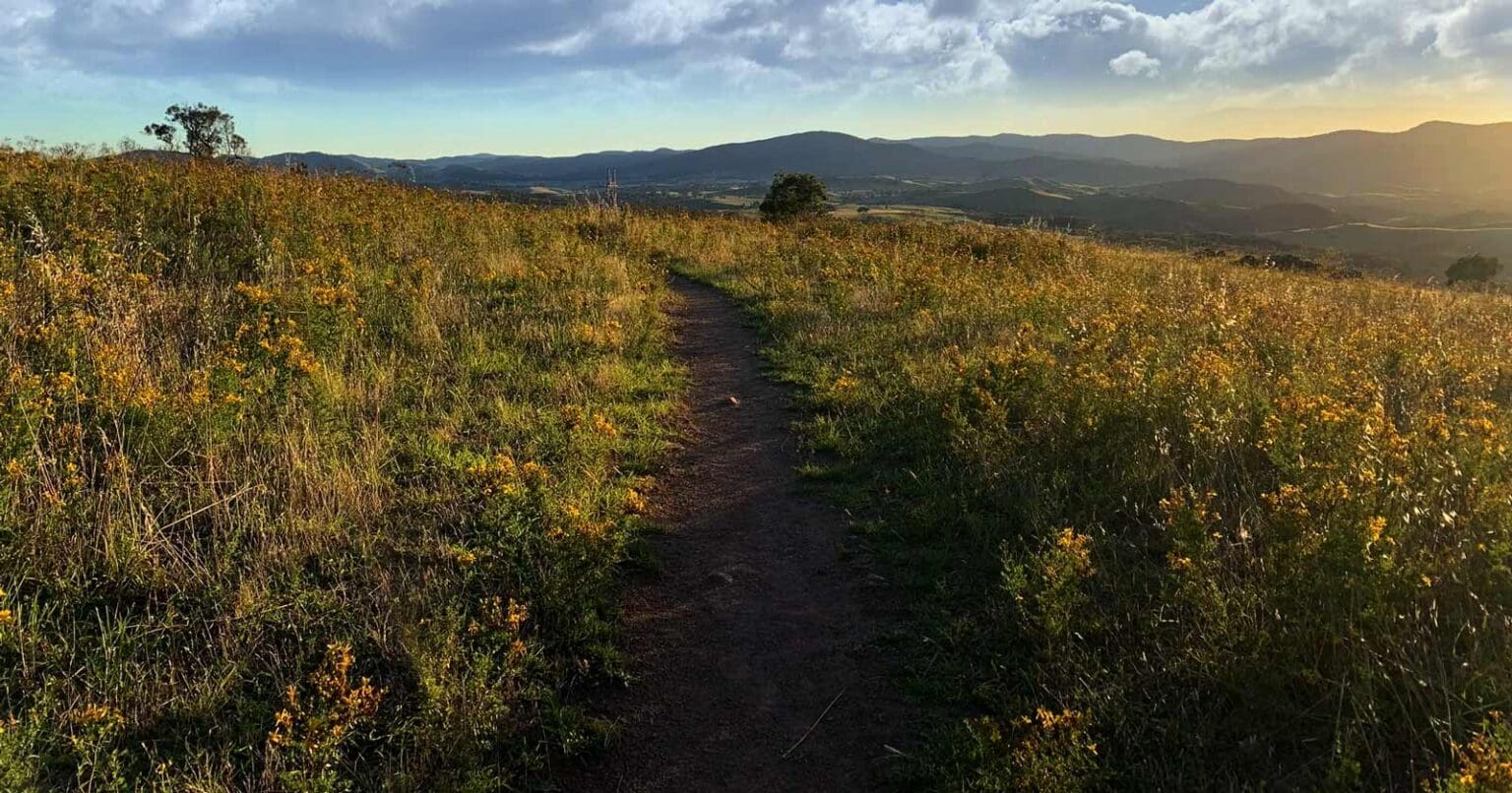 Best Hiking Trails in the ACT | Explore Canberra