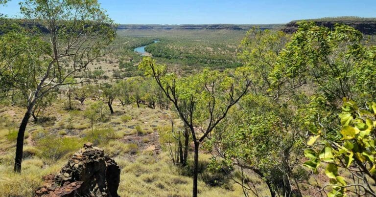 Limestone Ridge Loop Walk (1.8km) - Judbarra - Gregory National Park, NT